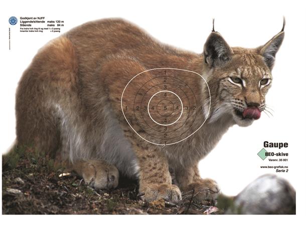 Jaktfelt skiver - Markhusan